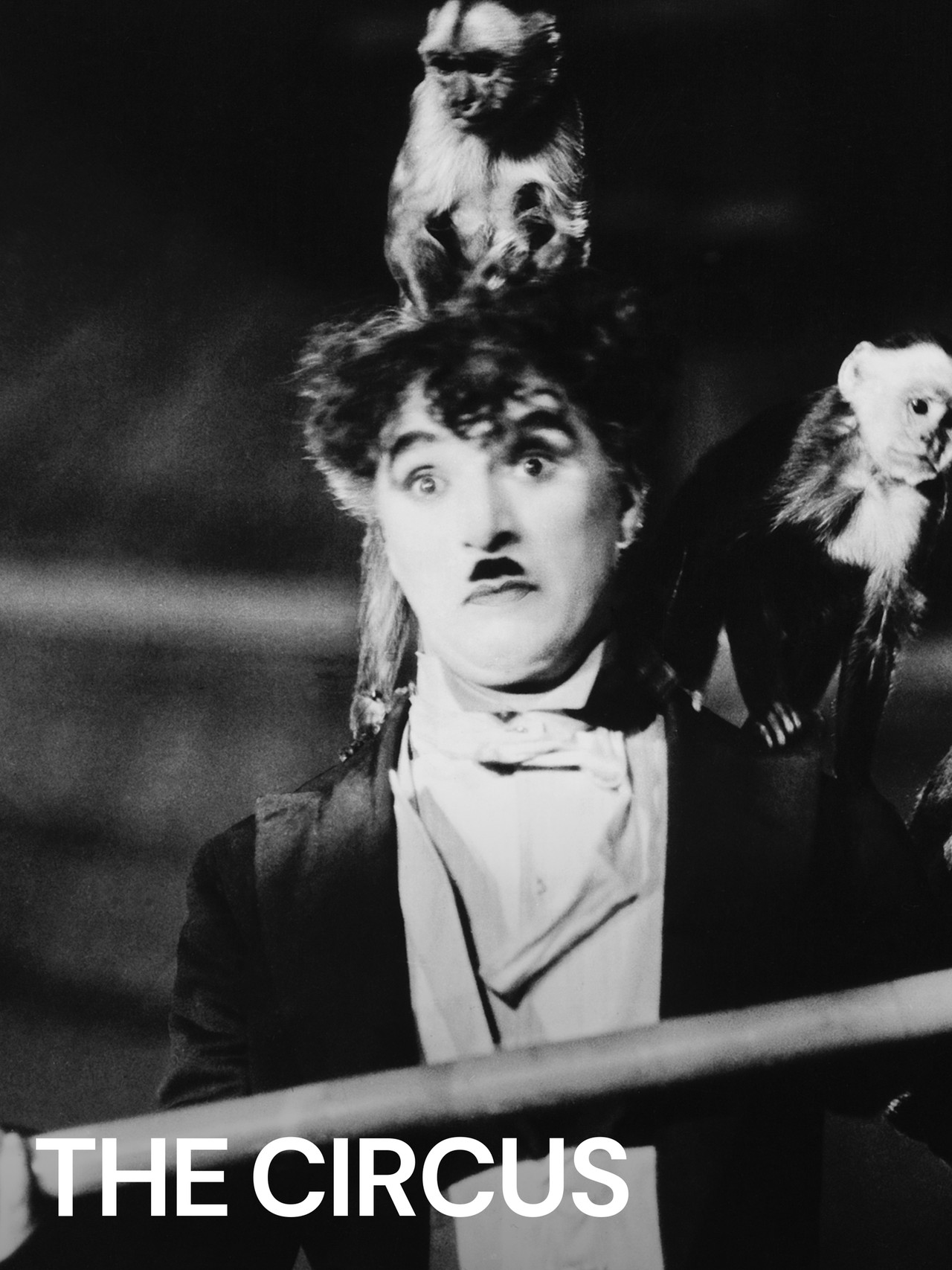 The Circus 1928 Film