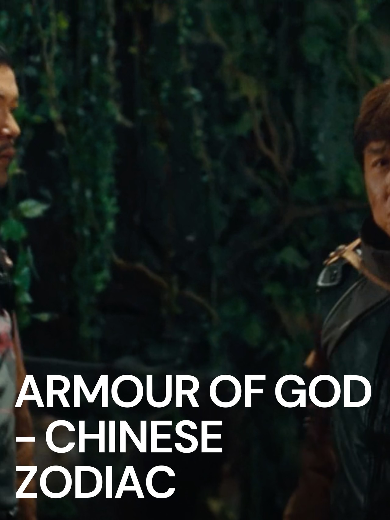 Armour of god - chinese zodiac 60 photos - Astrologytoyou.com