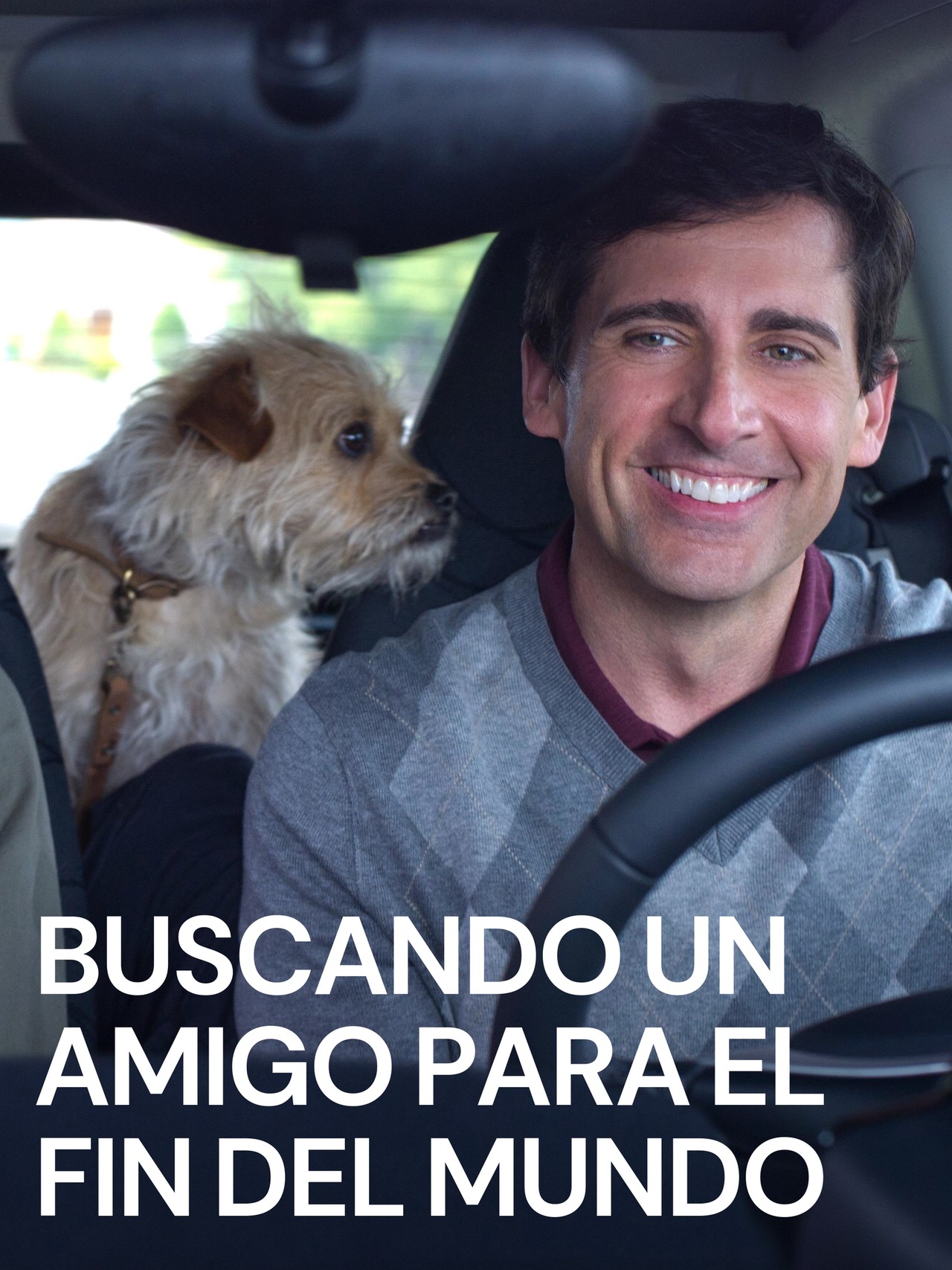 Buscando Un Amigo Para El Reparto Del Fin Del Mundo Amazon.com: