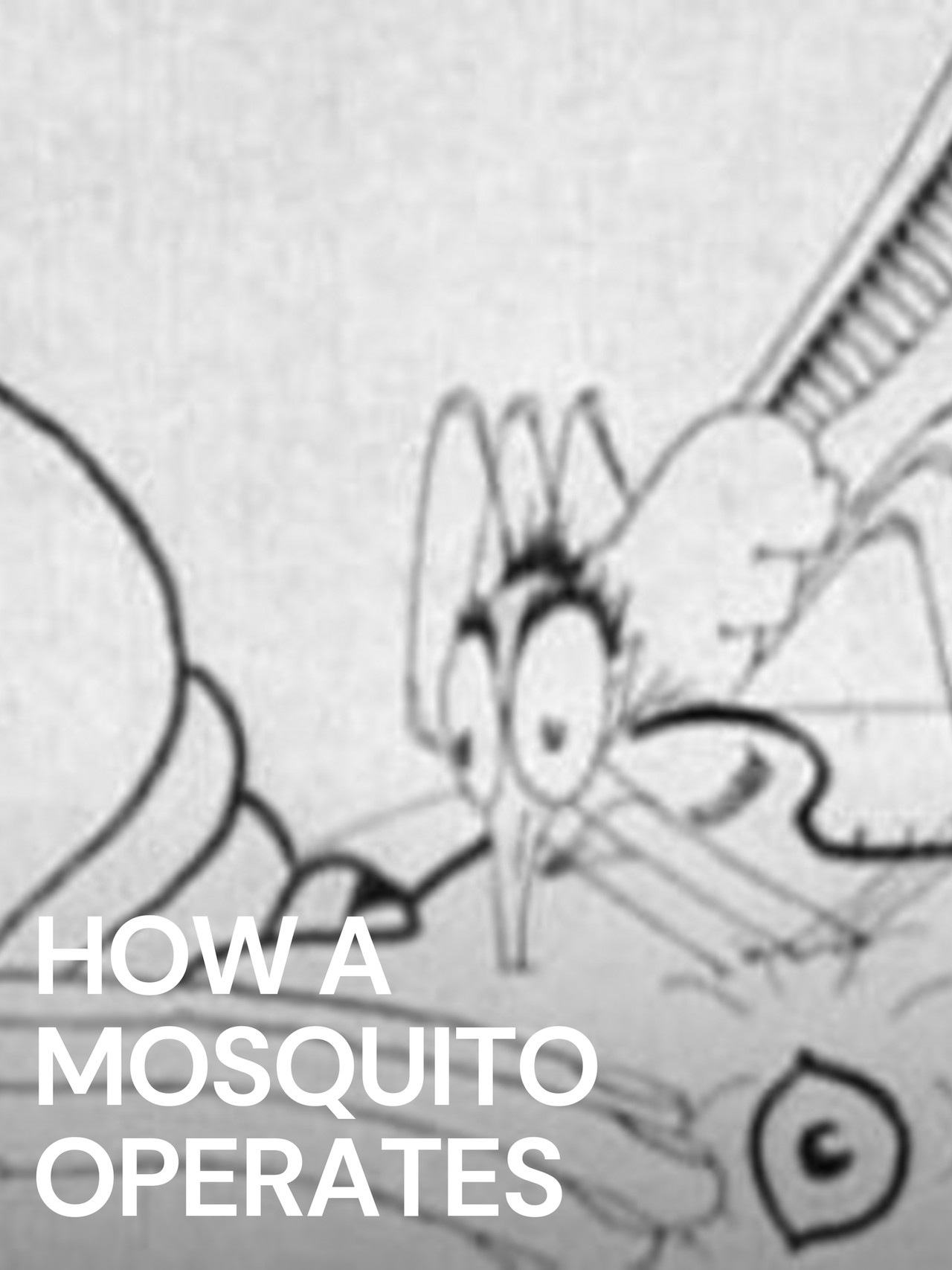 How A Mosquito Operates Cartoon