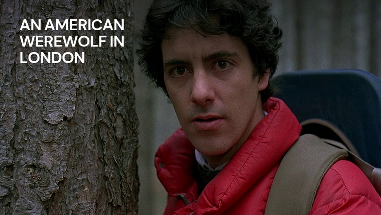 American Werewolf In London Cast