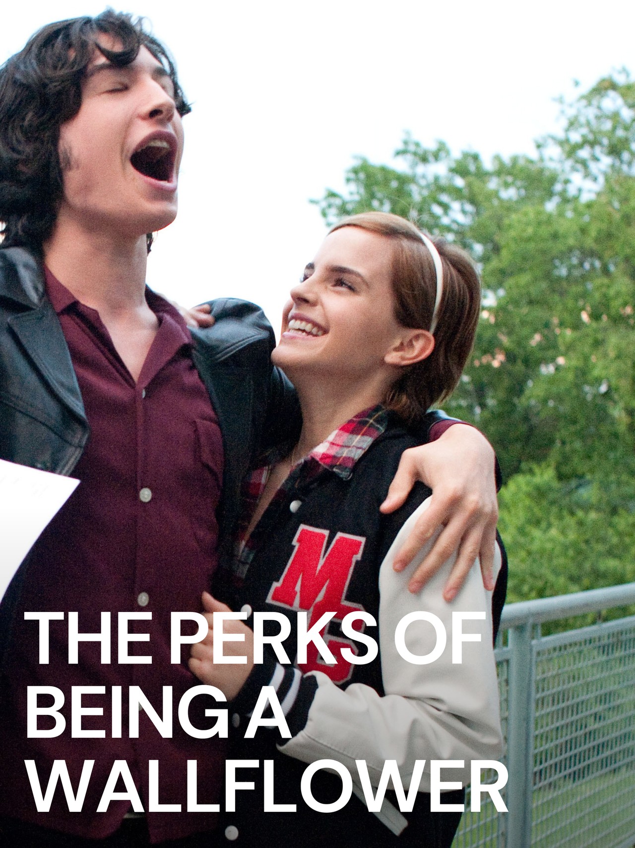 The Perks Of Being A Wallflower Netflix