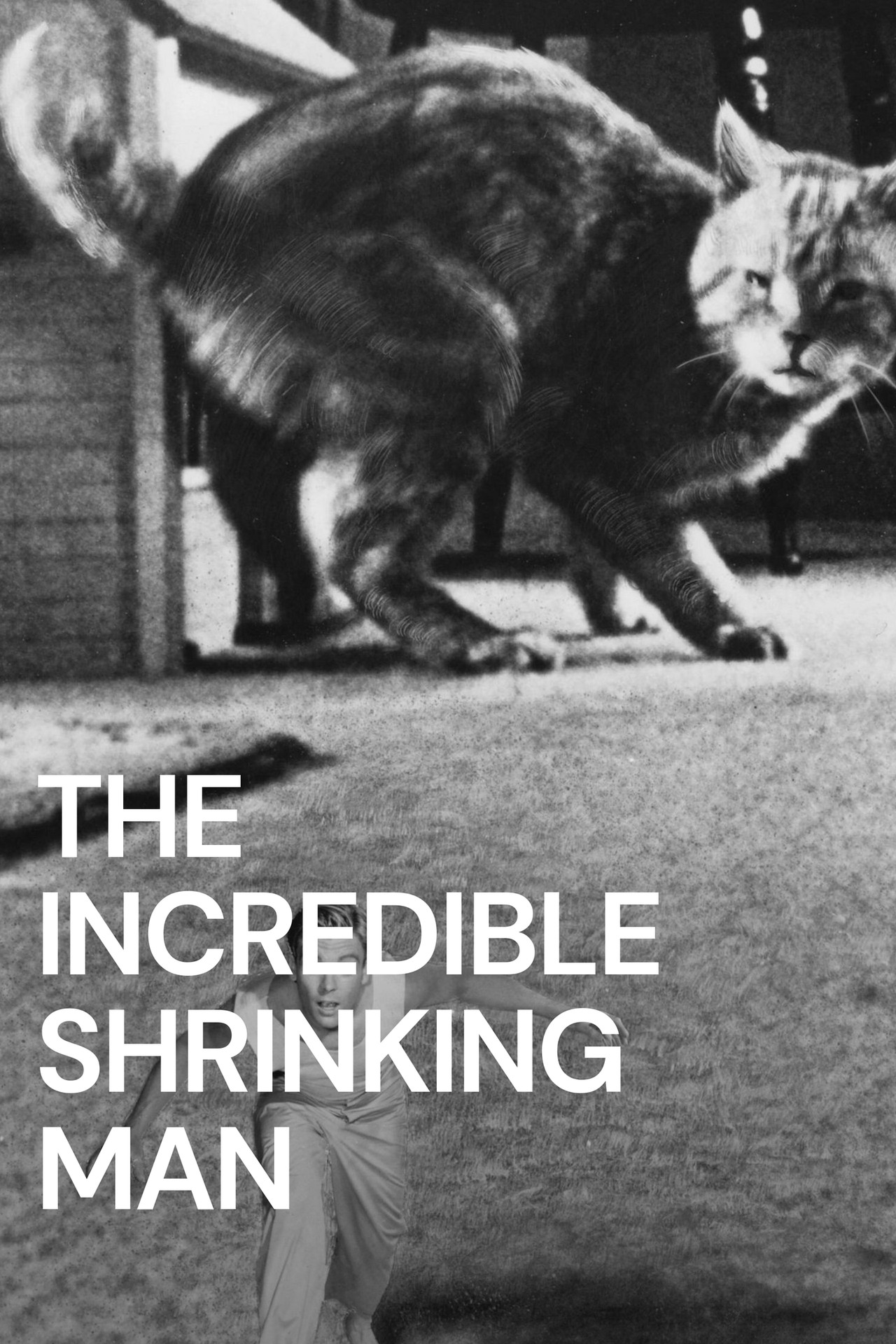 Incredible Shrinking Man