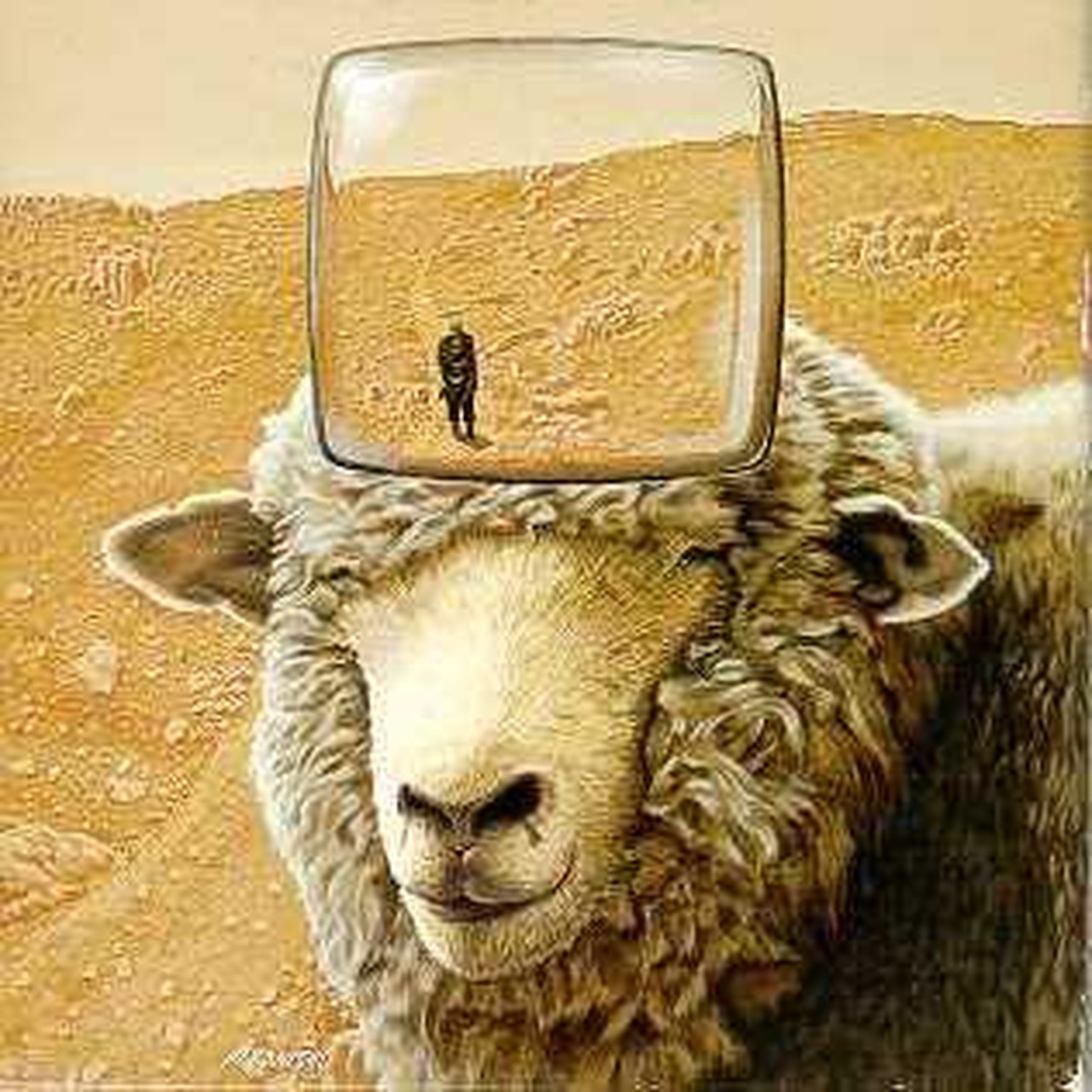 Nick - Watchlist - MUBI