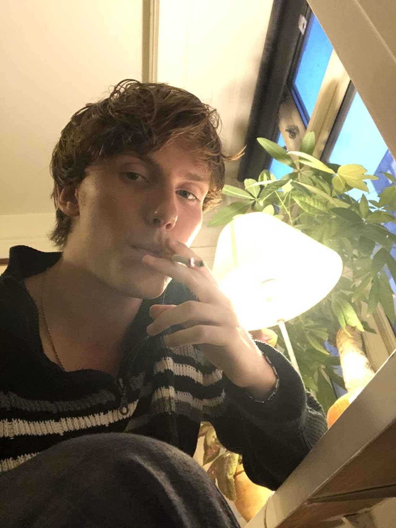 Johan Damgaard Schroll - Ratings & Reviews - MUBI