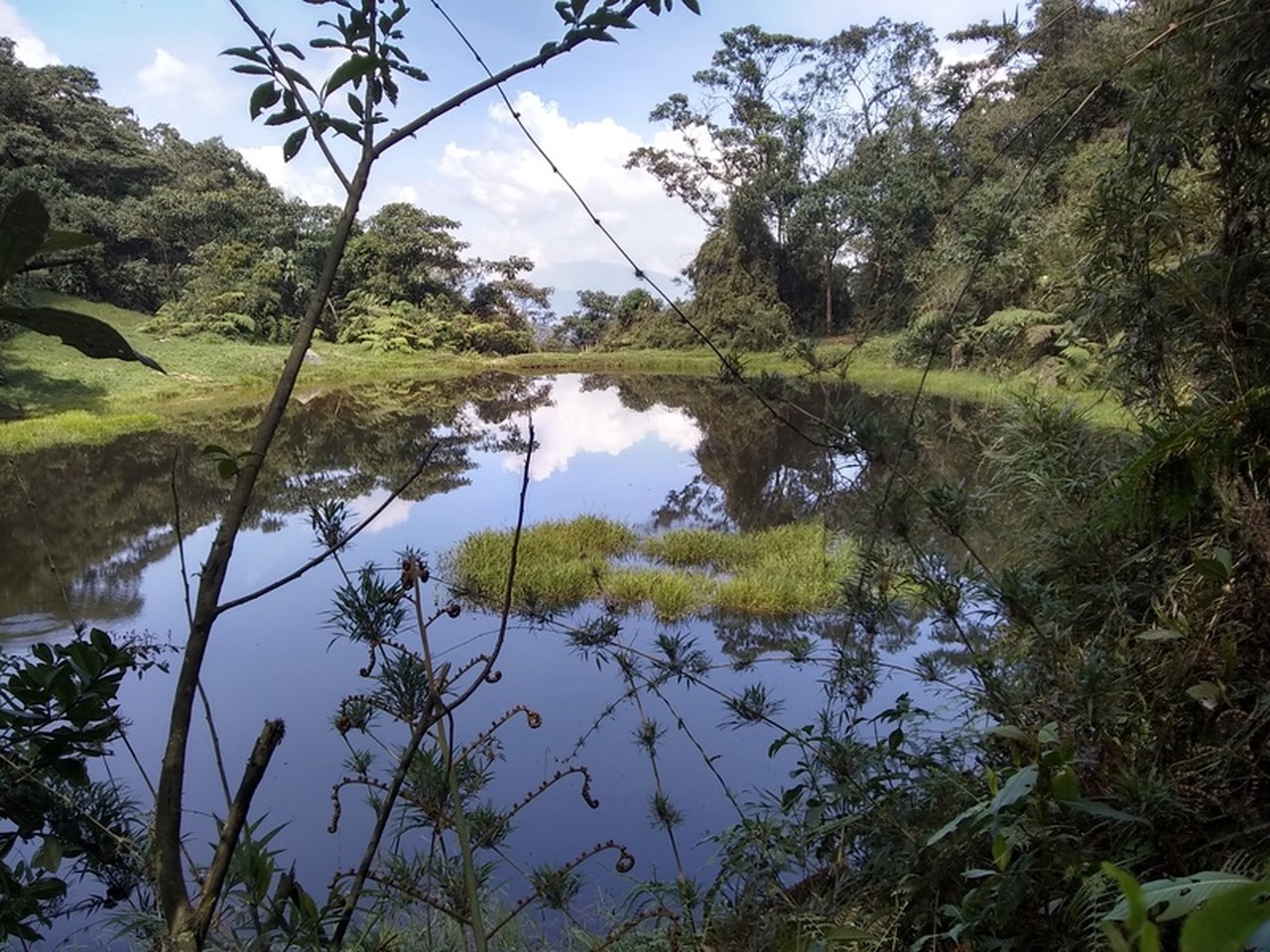 felipe escobar montoya - Watchlist - MUBI