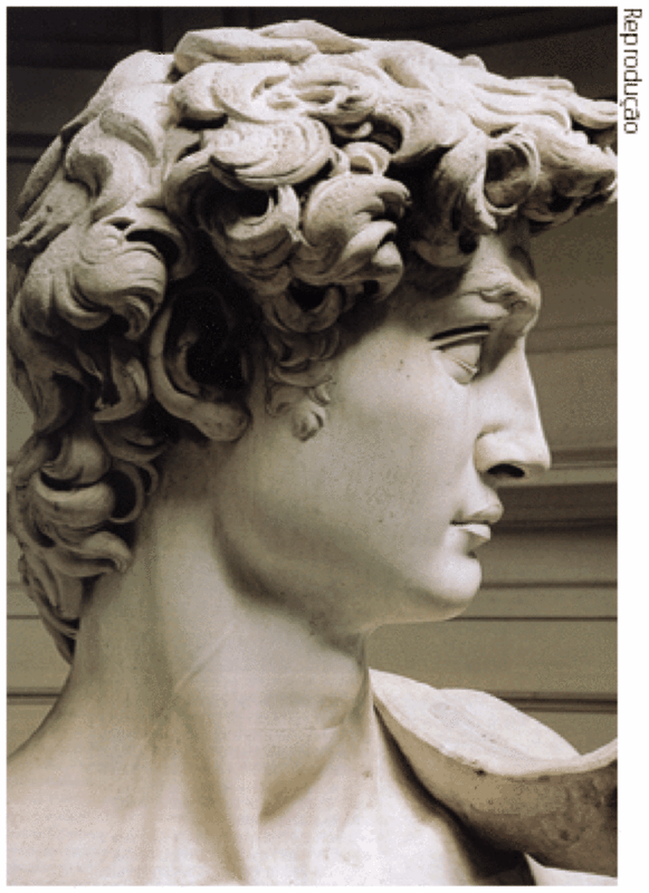 Greek Statue Head Profile
