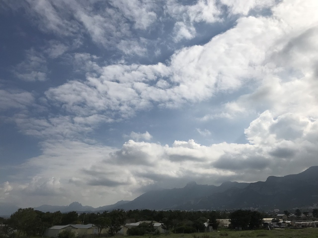 Efe - Watchlist - MUBI