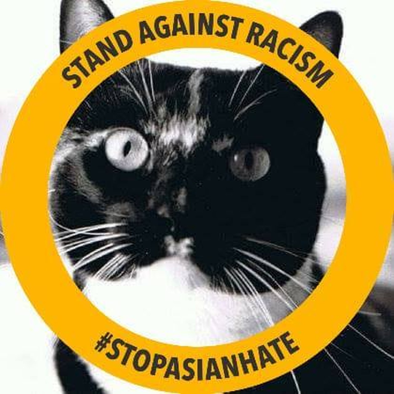 mark - Watchlist - MUBI