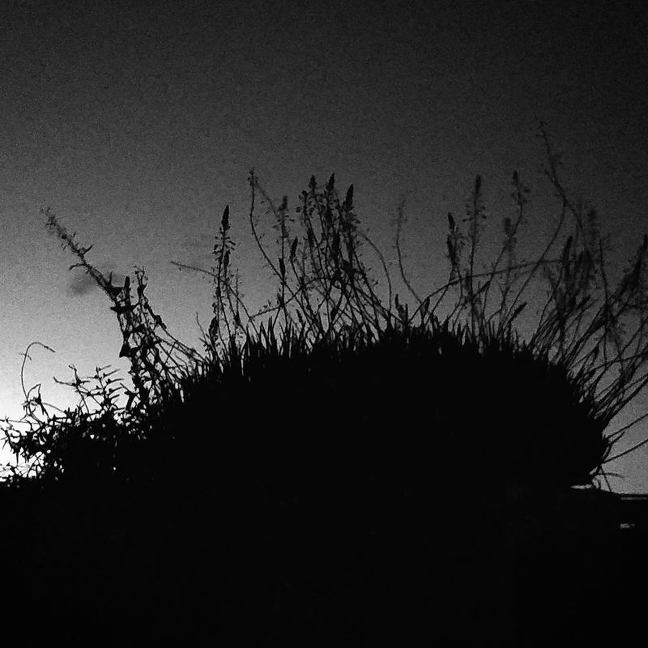 Martin Sappia - Ratings & Reviews - MUBI