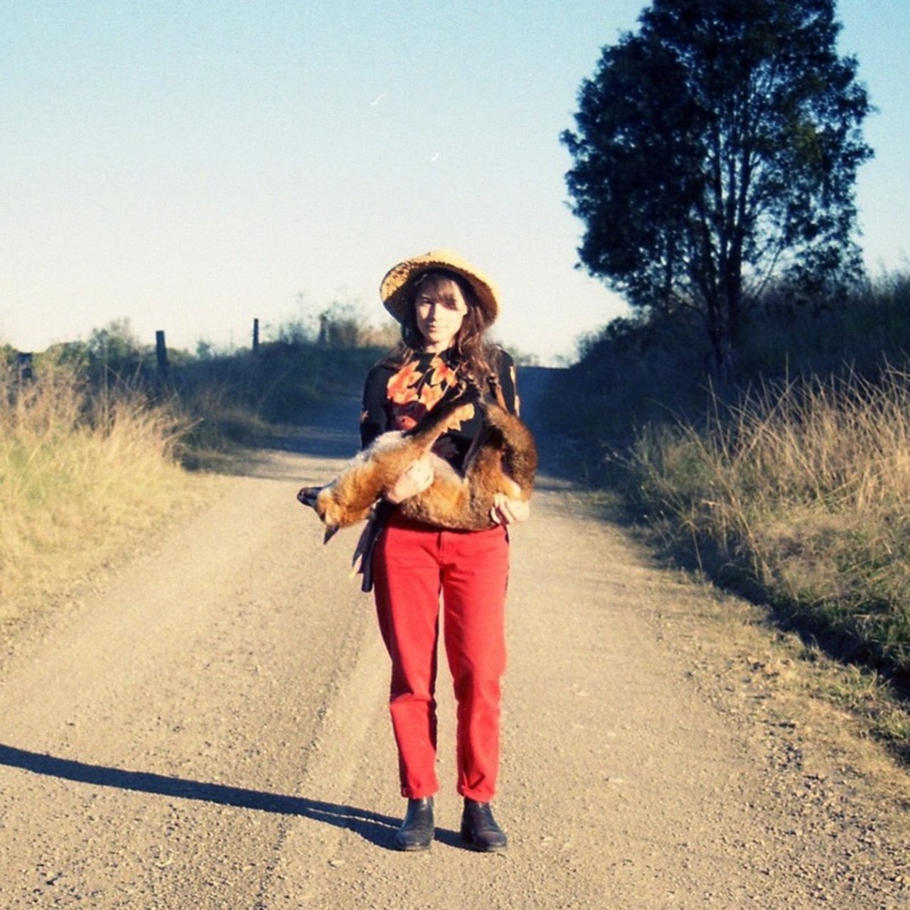 Freyja Fox - Ratings & Reviews - MUBI