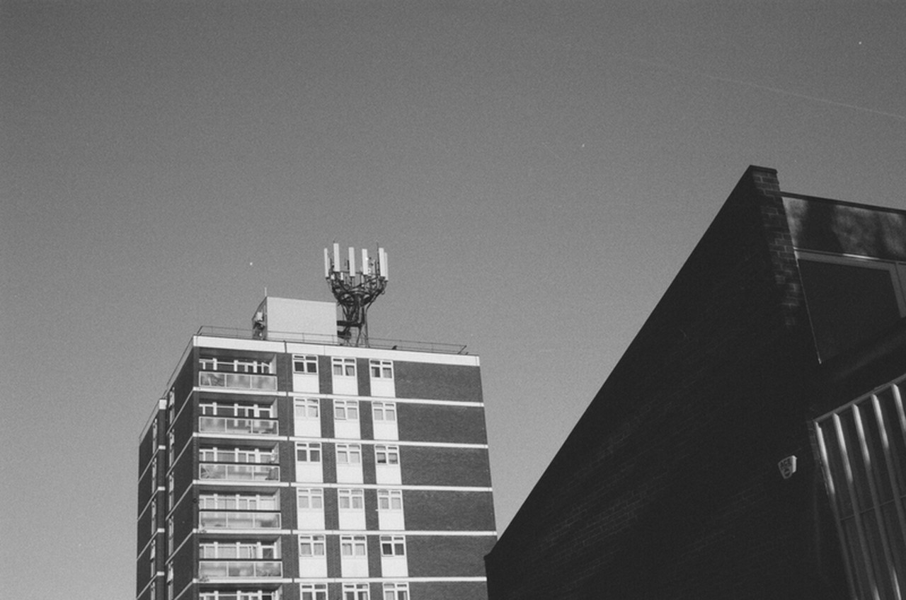 patrick - Watchlist - MUBI