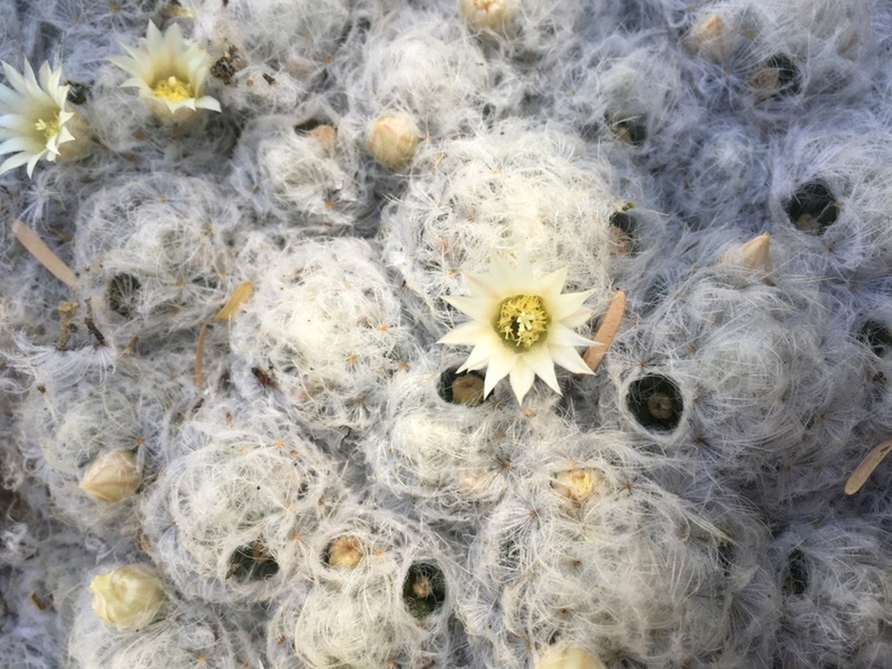 Ariel Fry - Watchlist - MUBI