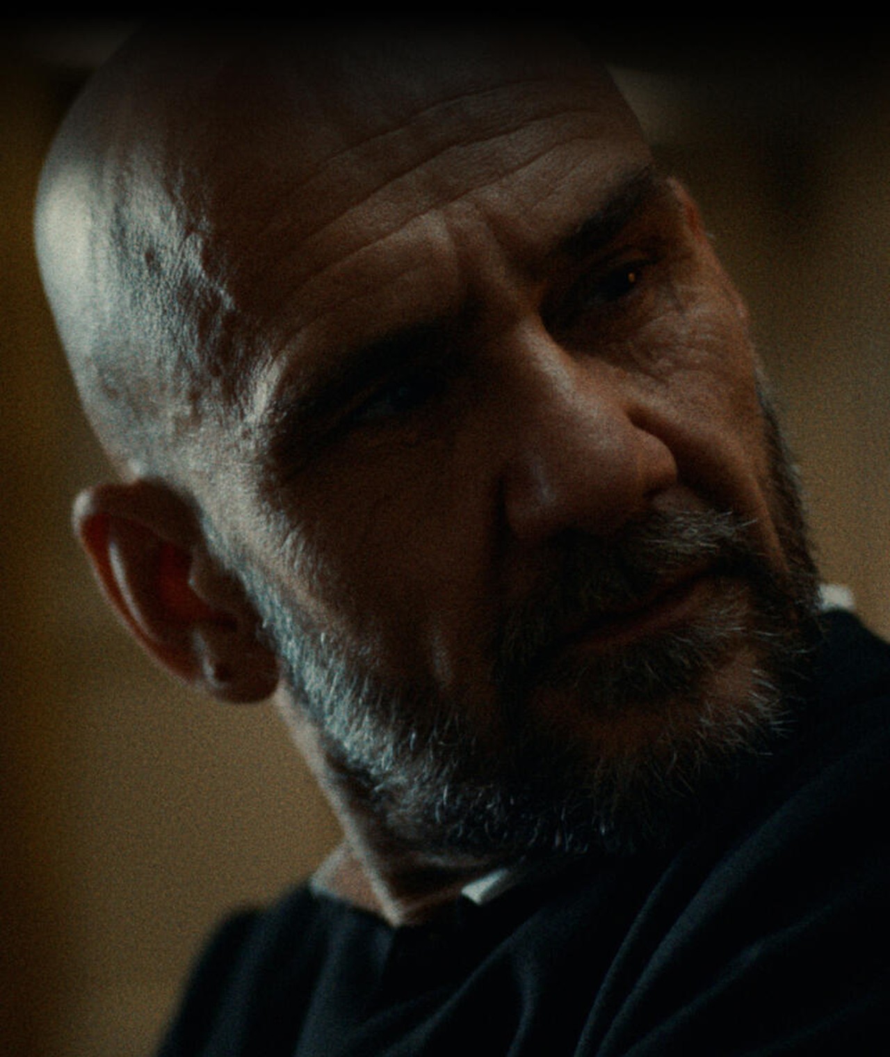 Stefano Gaeta – Movies, Bio and Lists on MUBI