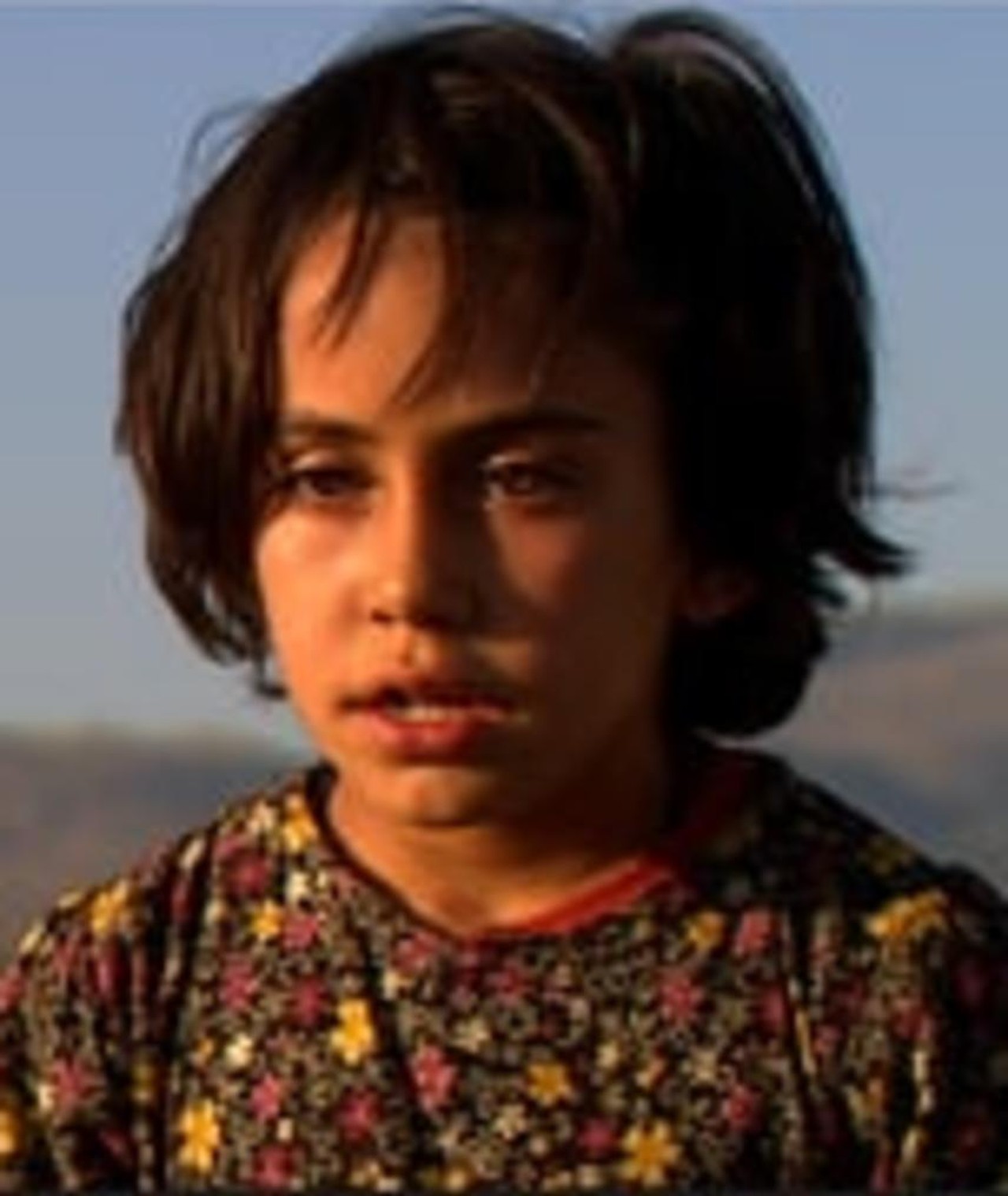 Elif Bülbül – Movies, Bio and Lists on MUBI