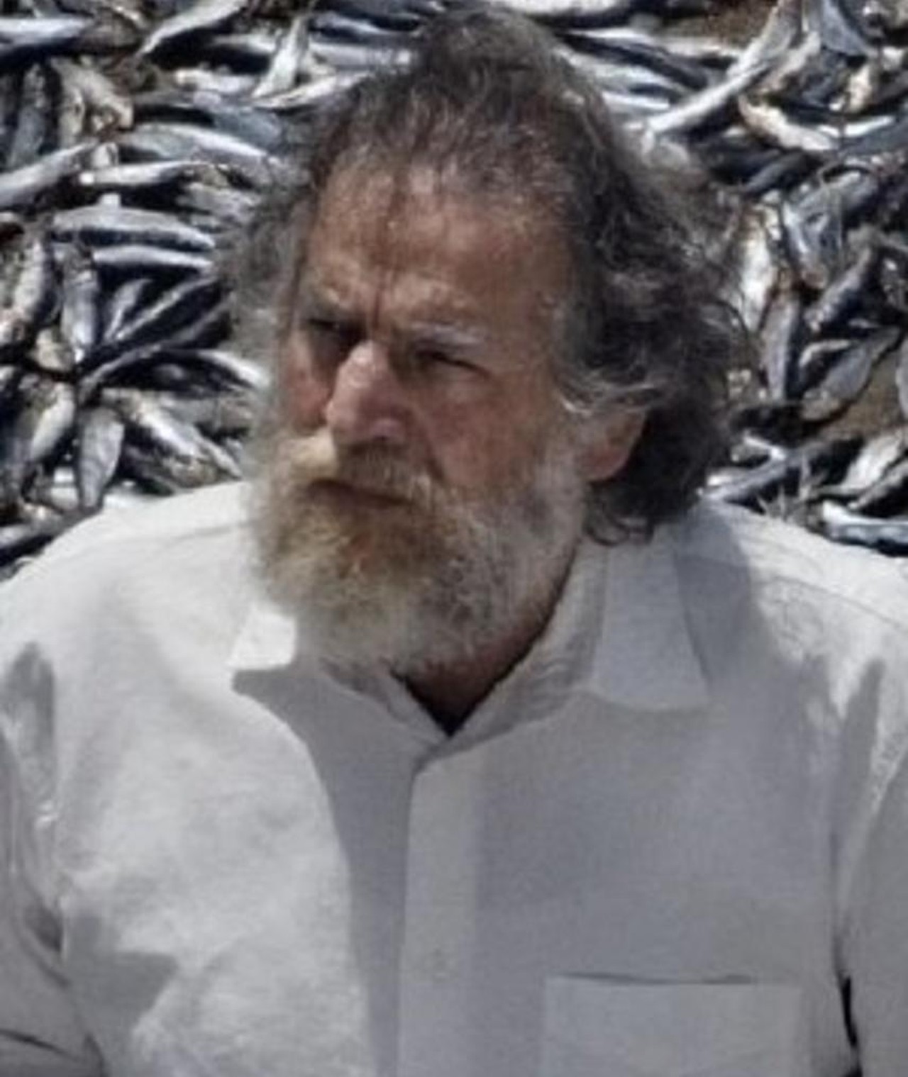 Mimmo Cuticchio – Movies, Bio and Lists on MUBI