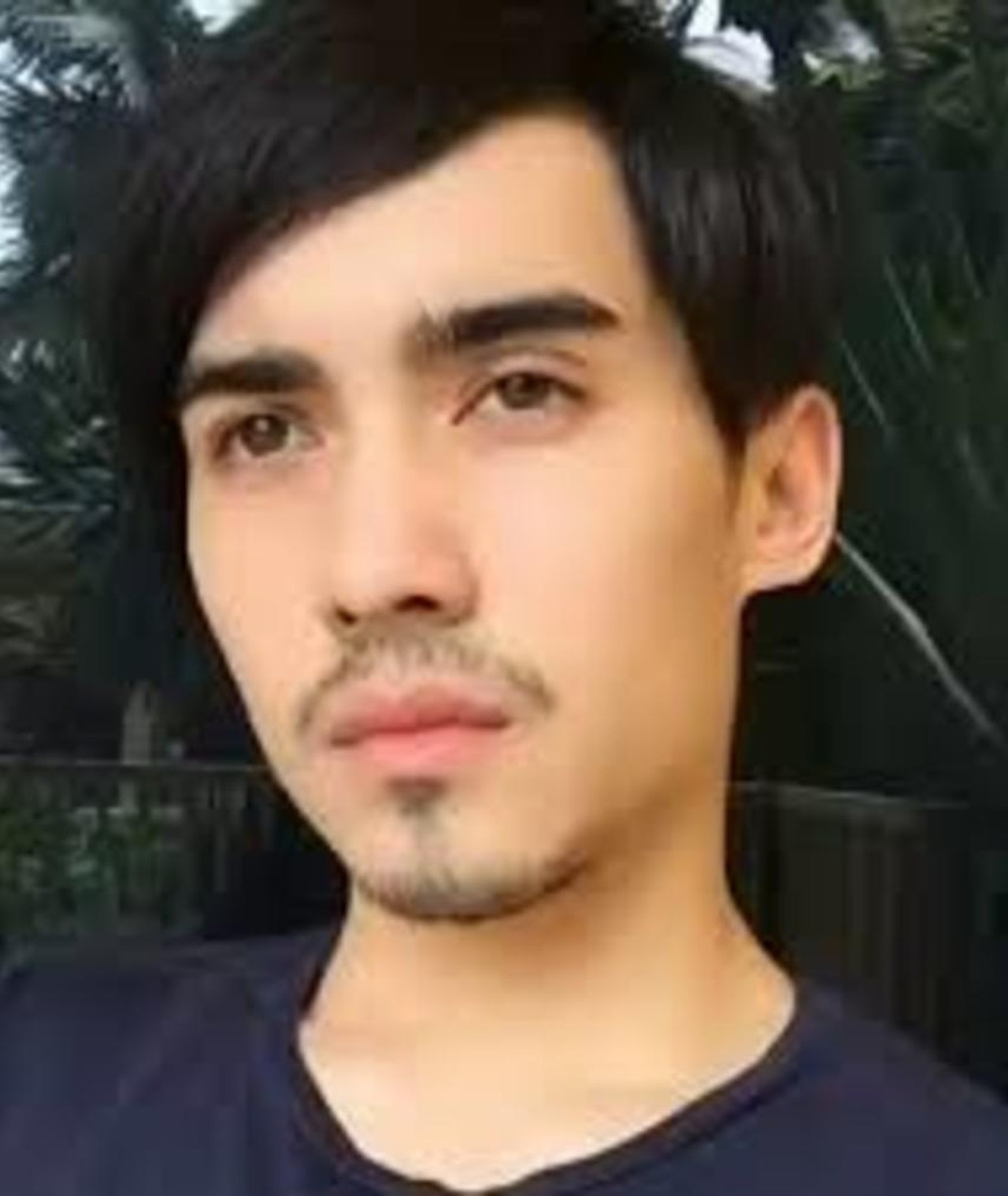 Steven Fuhrer – Movies, Bio and Lists on MUBI