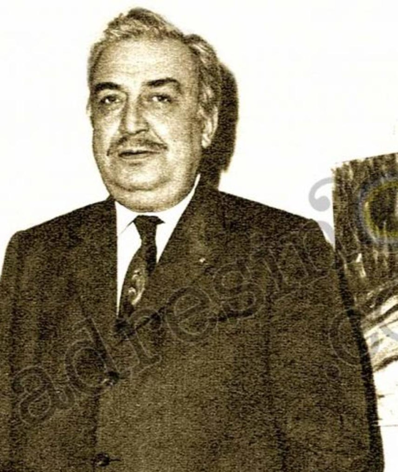 Asım Nipton – Movies, Bio and Lists on MUBI