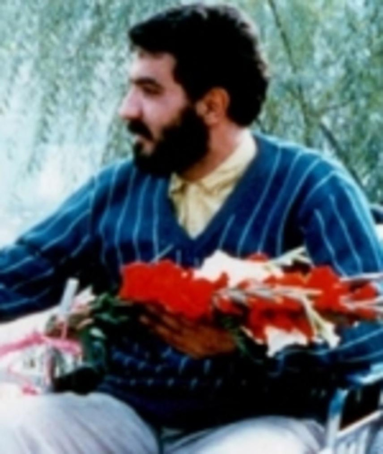 Homayoon Mokammaei – Movies, Bio and Lists on MUBI