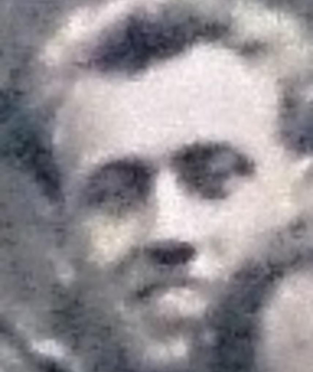 Josef Kutálek – Movies, Bio and Lists on MUBI