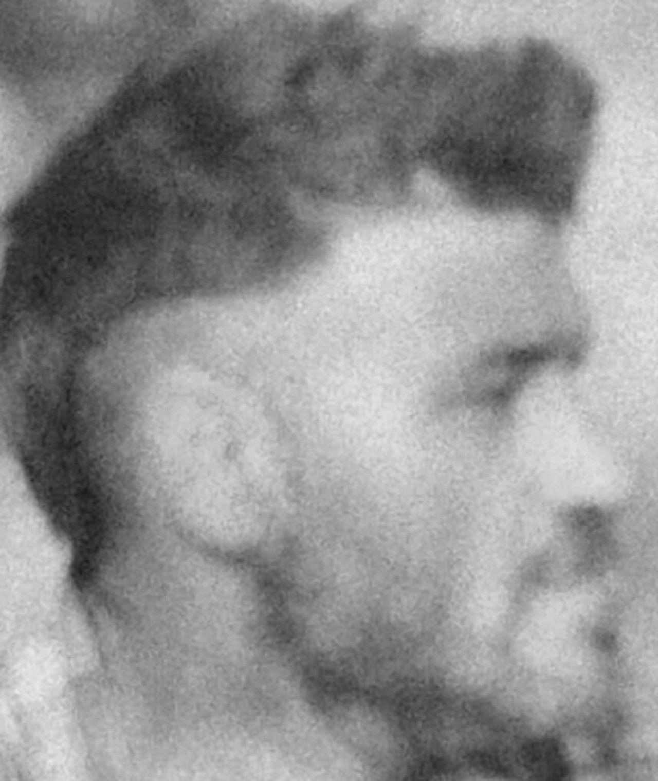 Tasio – Movies, Bio and Lists on MUBI