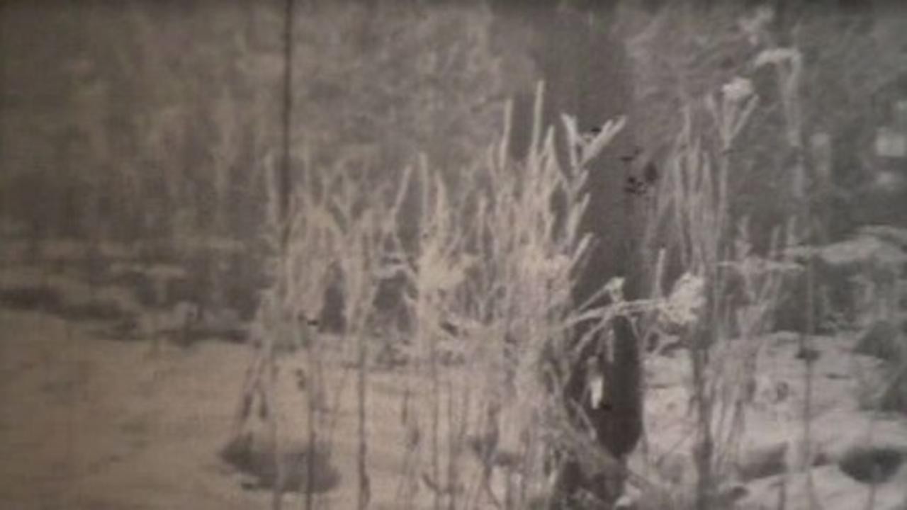 Winter (1972) | MUBI