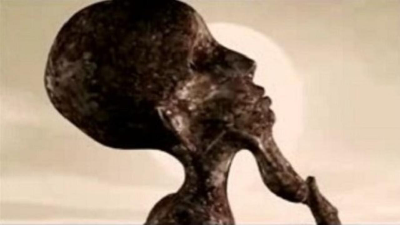 The Flocculus (1999) | MUBI