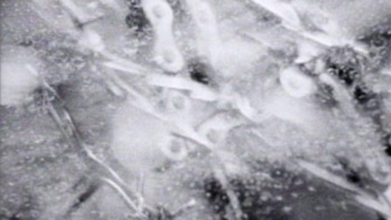 Eve (2002) | MUBI