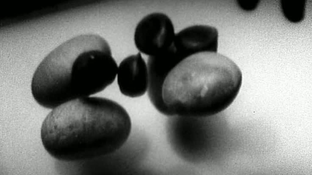 5 O'Clock in the Morning (1966) | MUBI