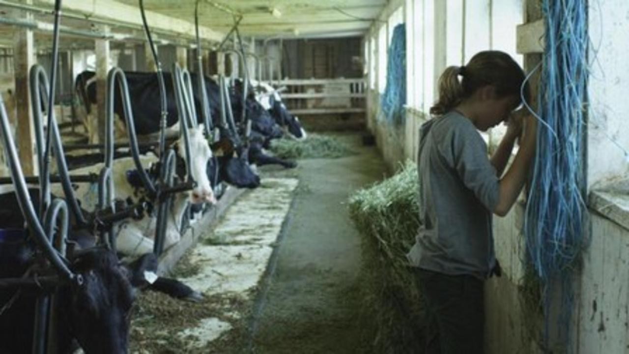 At Dawn (2012) | MUBI
