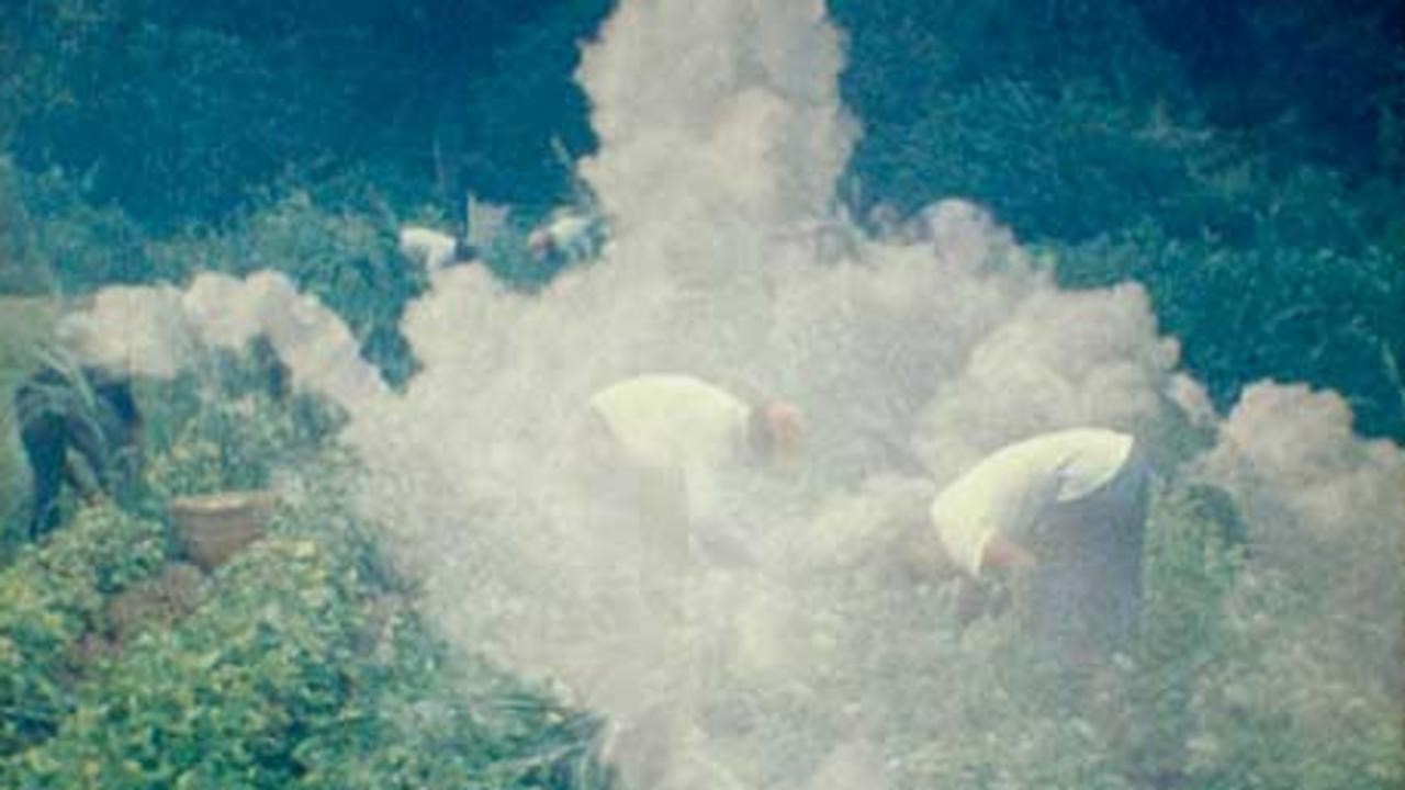 Three Landscapes (2013) | MUBI