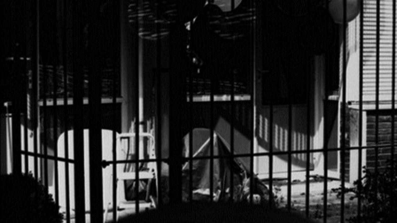 After Morning 2010 Mubi
