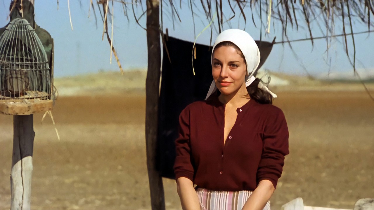 Mário Pardo – Actor