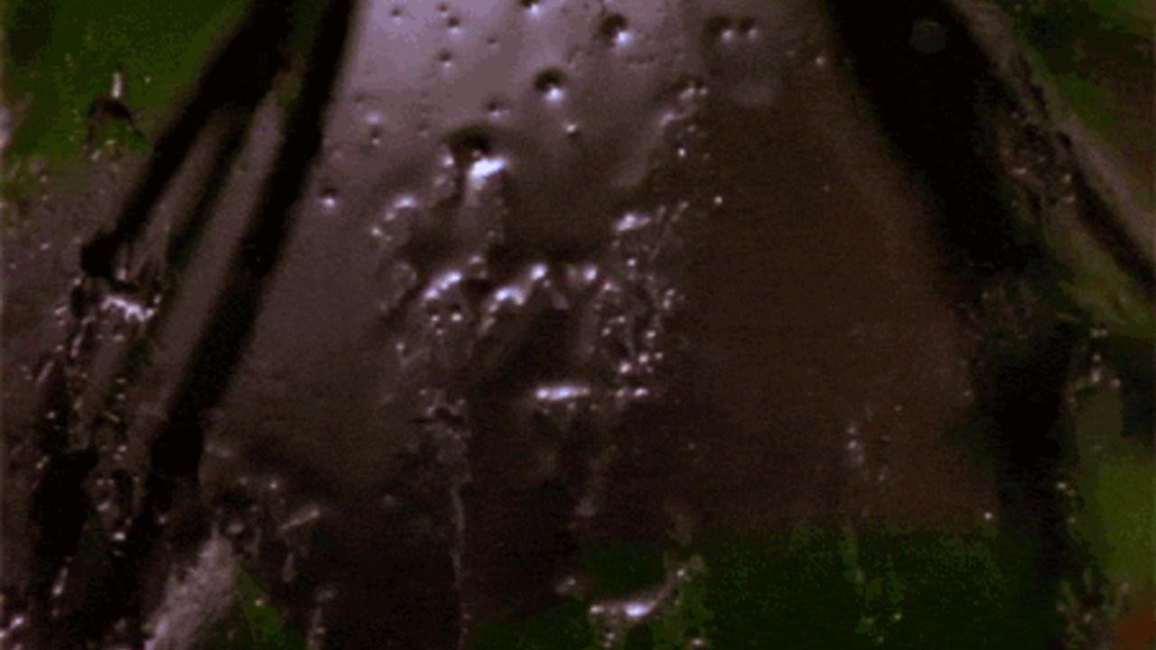 Creation Myth (2007) | MUBI Creation Myth (2007) | MUBI
