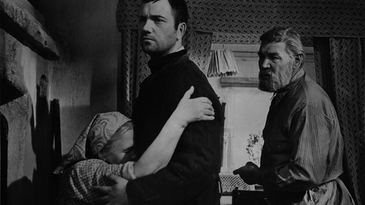 Your Son and Brother (1965) | MUBI