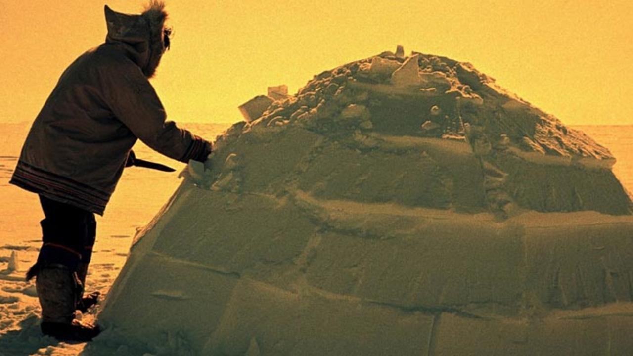 How to Build an Igloo (1949) | MUBI