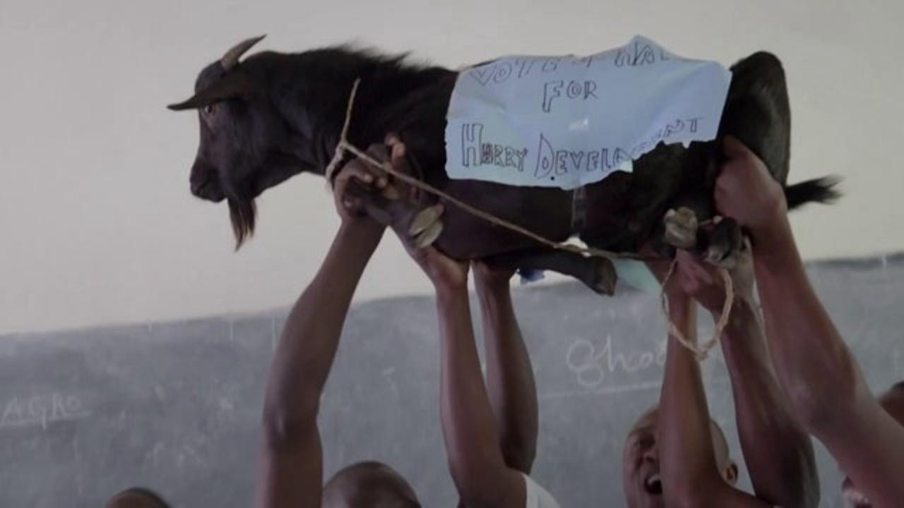 A Goat for a Vote (2014) | MUBI