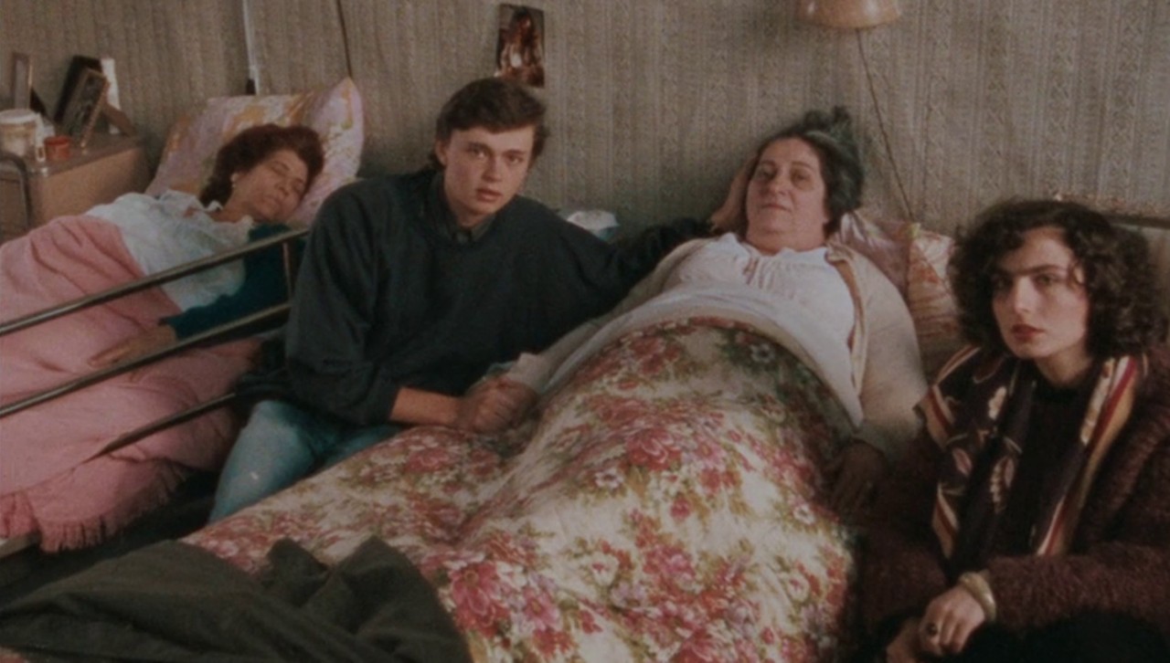 Family Viewing (1987) | MUBI