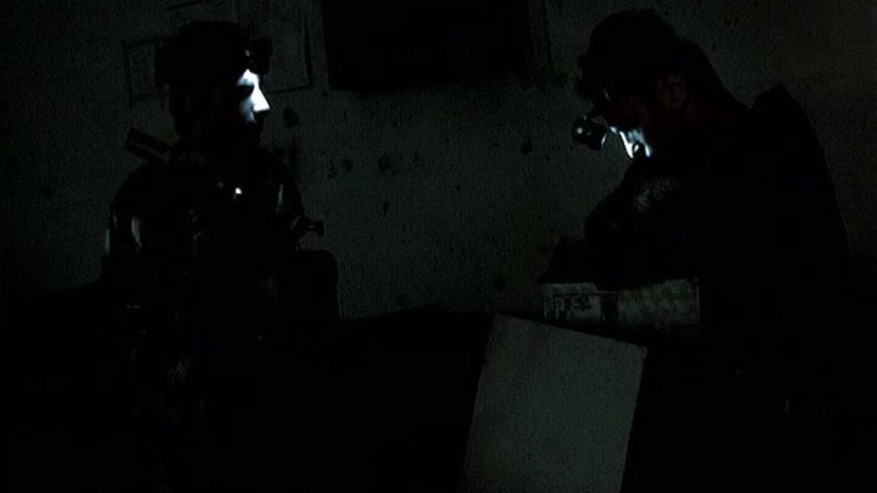 Araneum (2010) | MUBI