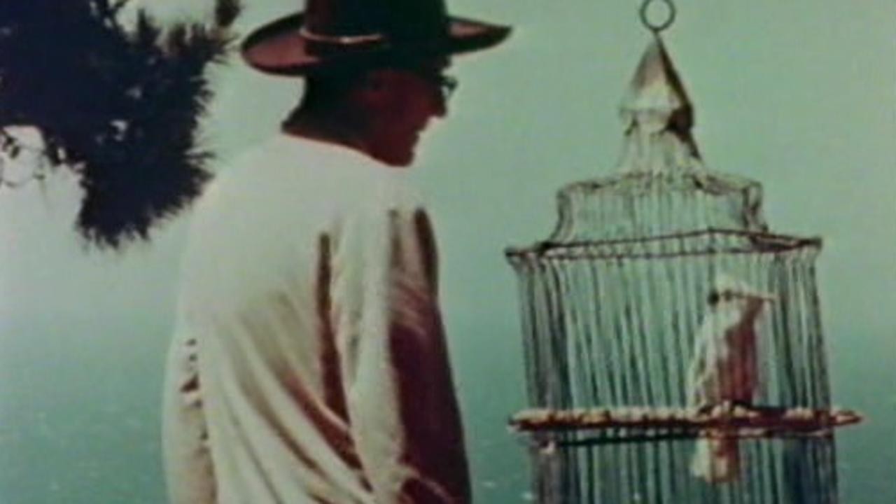 William Buys a Parrot (1963) | MUBI