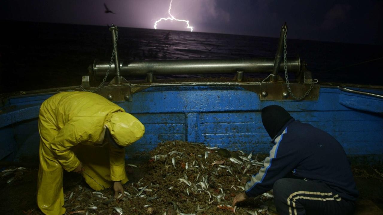 Lampedusa in Winter (2015) | MUBI