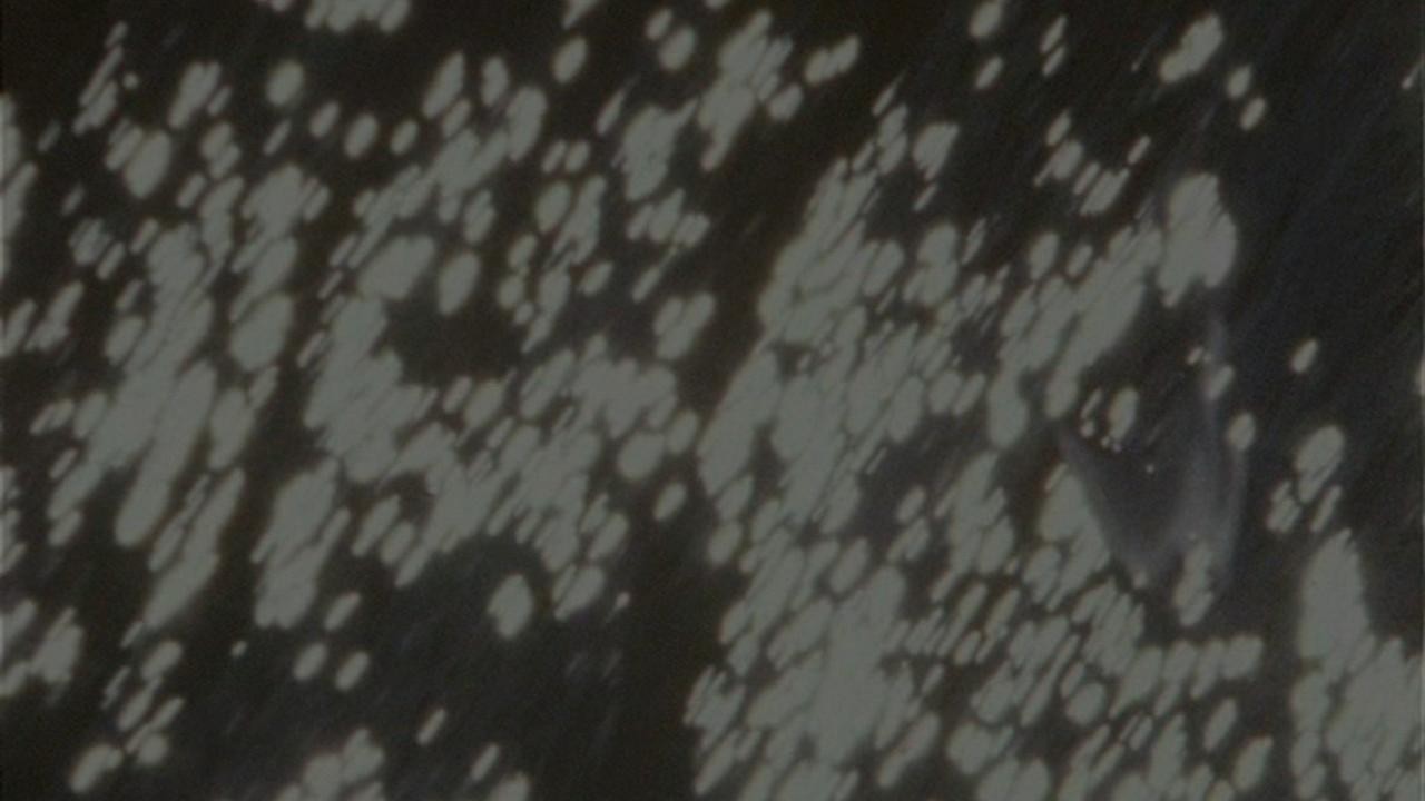 The World (2009) | MUBI