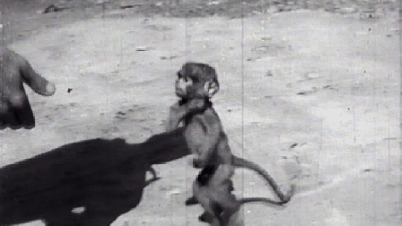 Still Life (2005) | MUBI