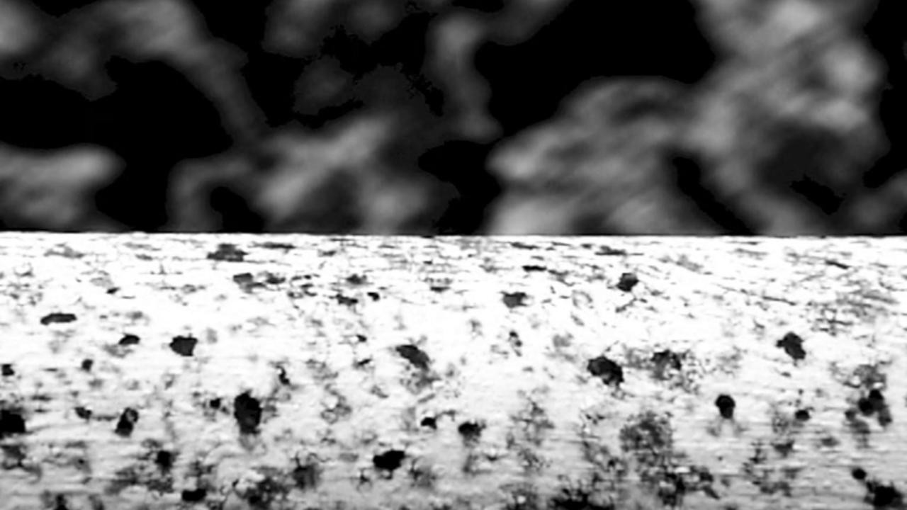 Topío (2015) | MUBI