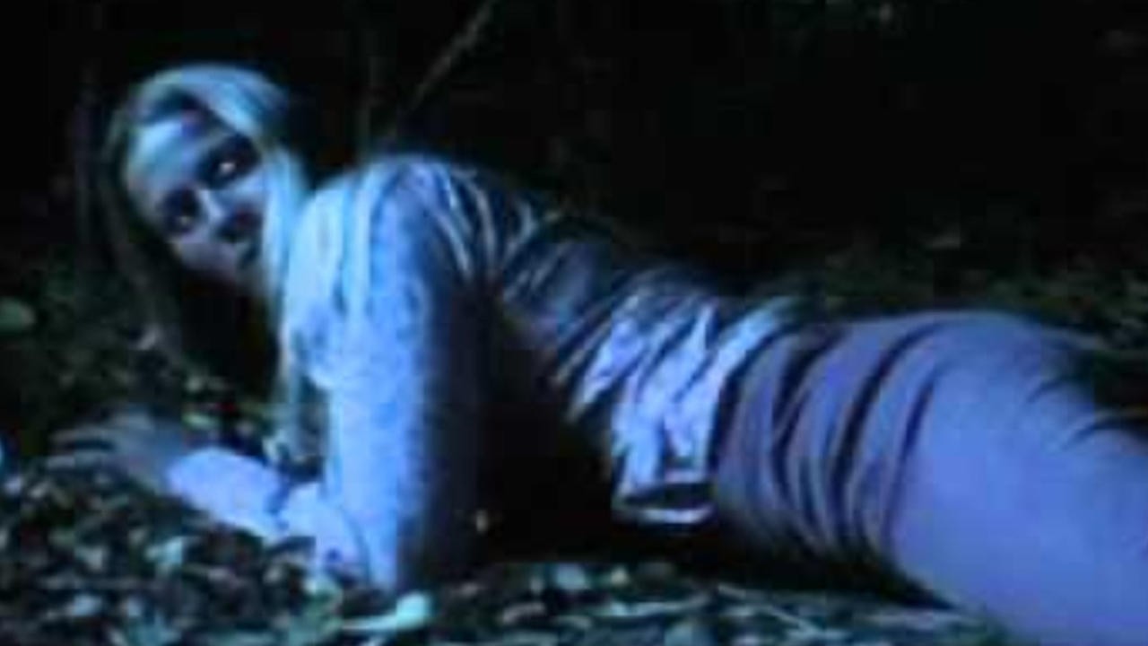 Camp Slaughter (2004) | MUBI