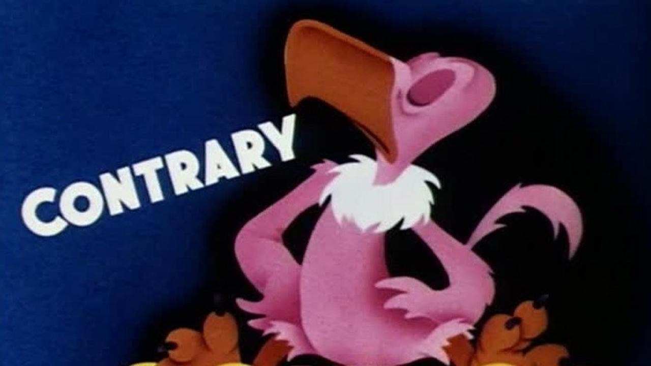 Contrary Condor (1944) | MUBI