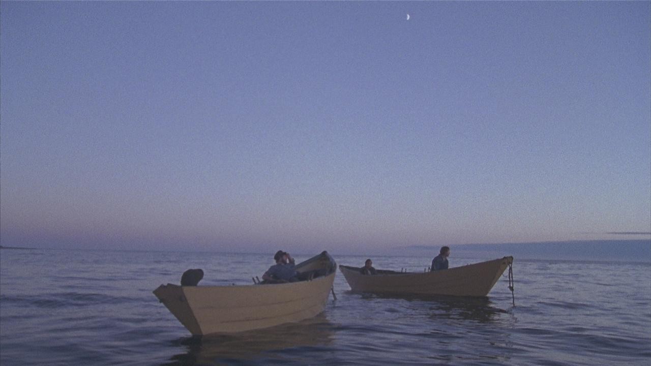 The Disappeared (2012) | MUBI