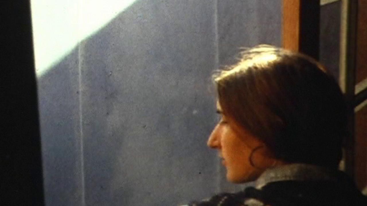 Old Redwood Series (1979) | MUBI