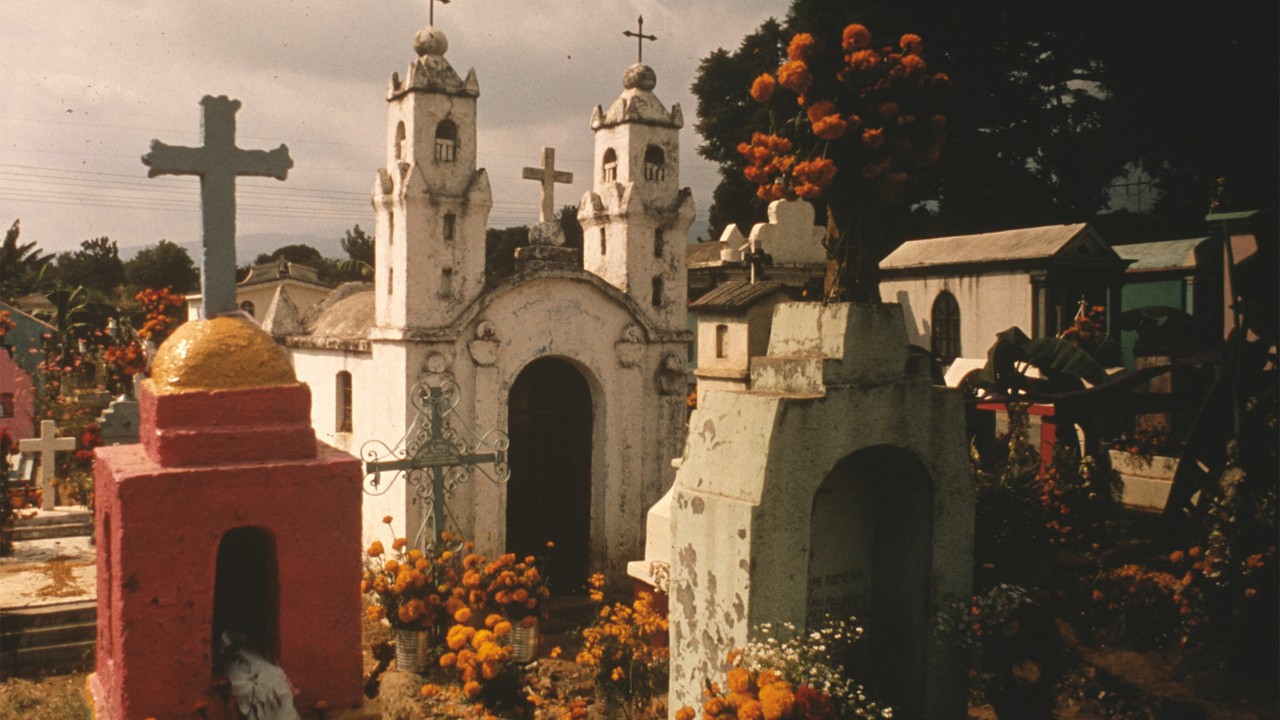 Volcano: An Inquiry into the Life and Death of Malcolm Lowry (1976) | MUBI