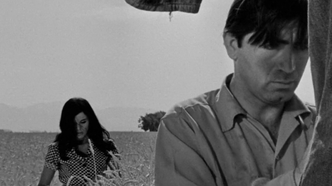 The Fear (1966) | MUBI